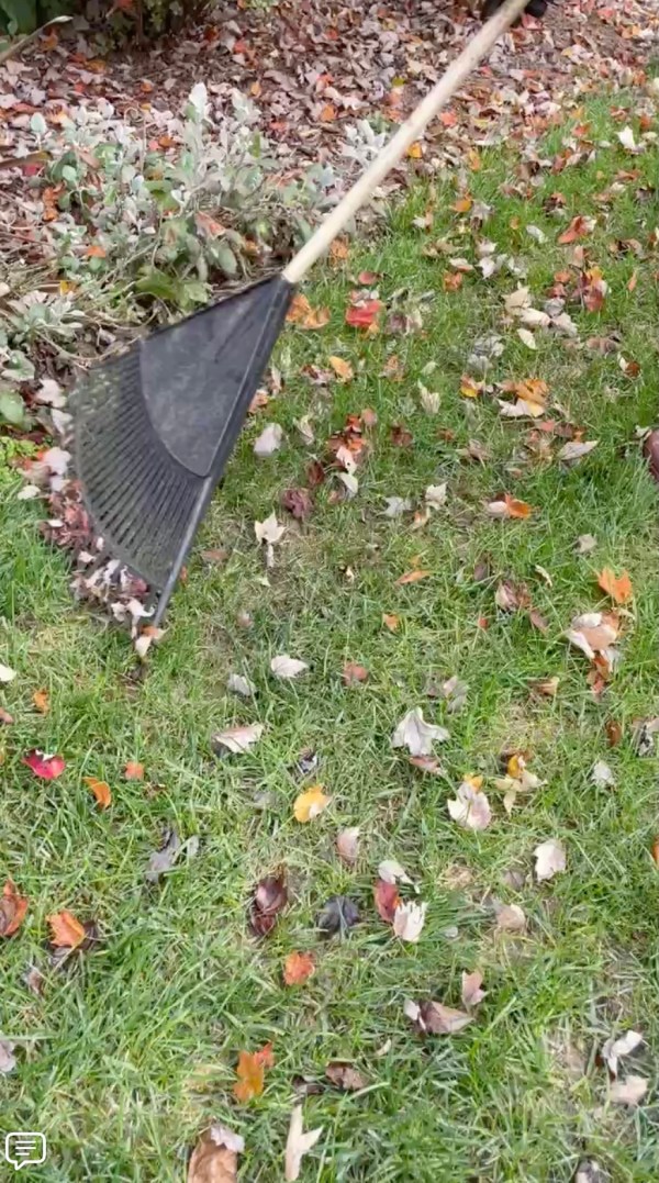 3 WAYS TO DISPOSE OF FALLEN LEAVES - Gardening Life 365
