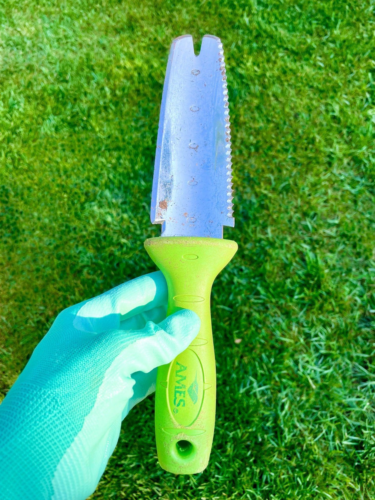 SERIES: 10 ESSENTIAL GARDEN ITEMS - HIGHLIGHT #8 | HAND TROWEL ...