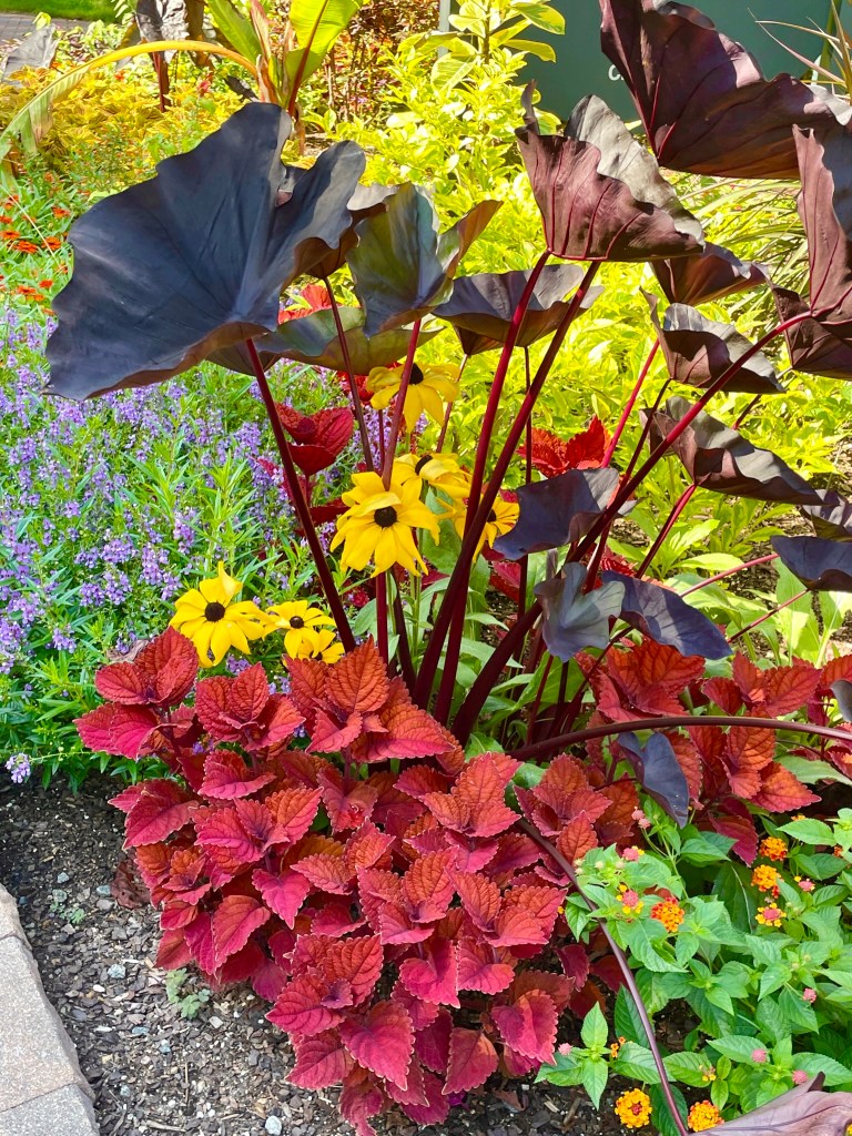 Landscape & Garden Photography - Gardening Life 365